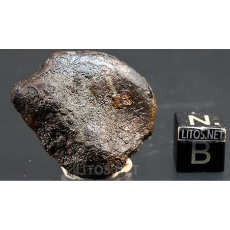 Meteorito sikhote Alin Rusia - Litos