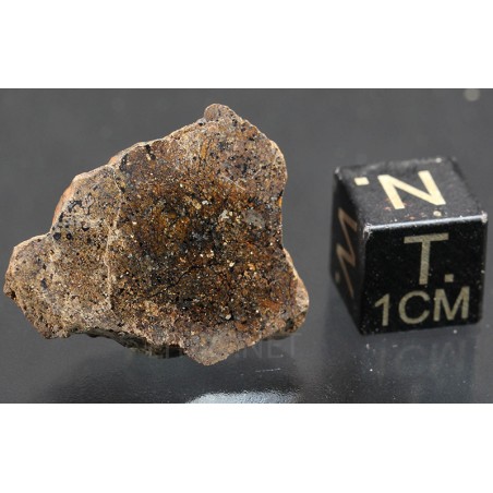 Meteorito acondrita winonaita