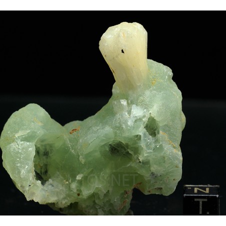Prehnita mineral