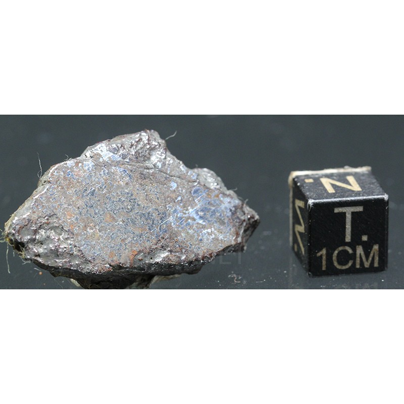 Meteorito Vaca Muerta mesosiderito