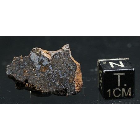 Meteorito Vaca Muerta mesosiderito