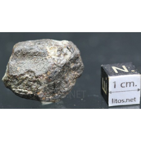 Meteorito NWA 869