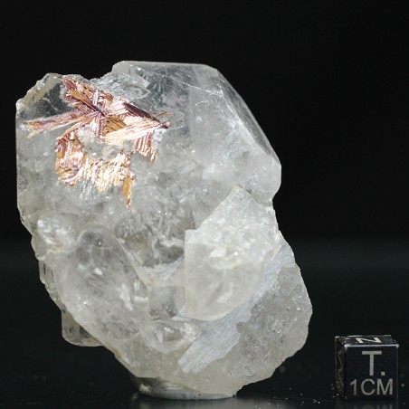 Rutilo