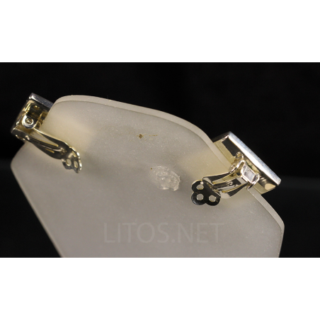 Pendientes de Azabache J1953 - Litos