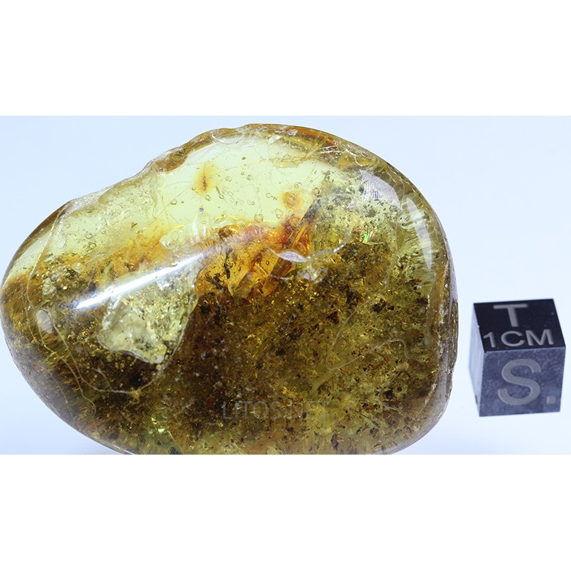 Ámbar con insectos F3002 - Litos