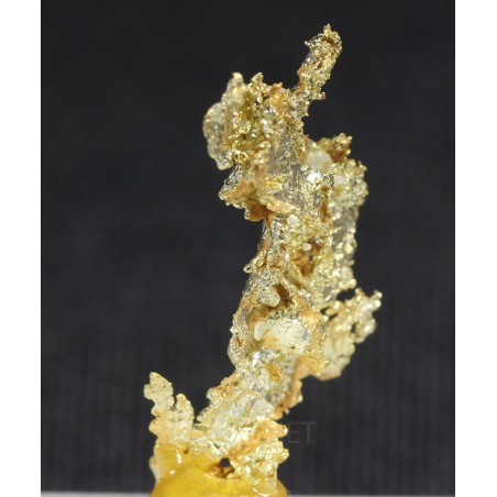 Oro nativo X2237 - Litos