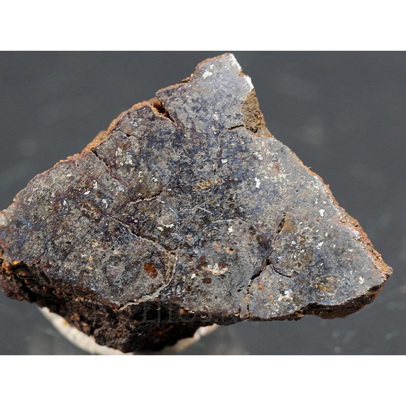 Meteorito vaca muerta M3706 - Litos