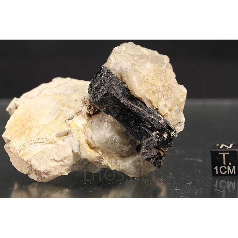 Mineral turmalina chorlo X2910 - Litos